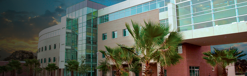 The EMaC Lab – The Eye Movements and Cognition Lab @ The University of South Florida